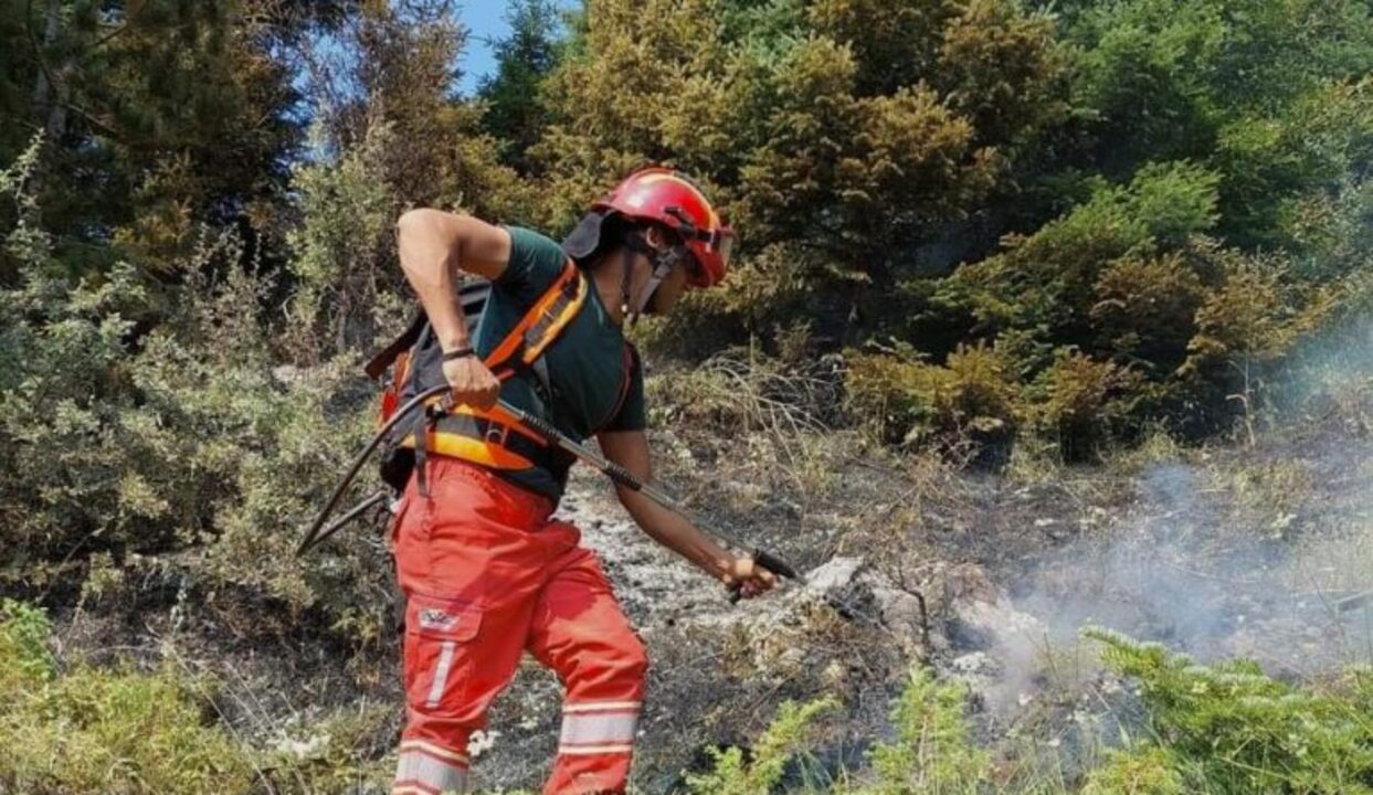 ATA - 18 wildfires put out in last 24 hours, 3 still burning