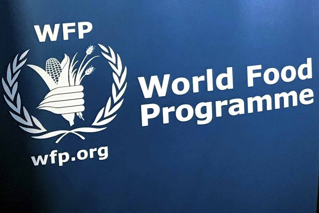 NNA - The United Nations World Food Programme (WFP) Lebanon welcomes ...